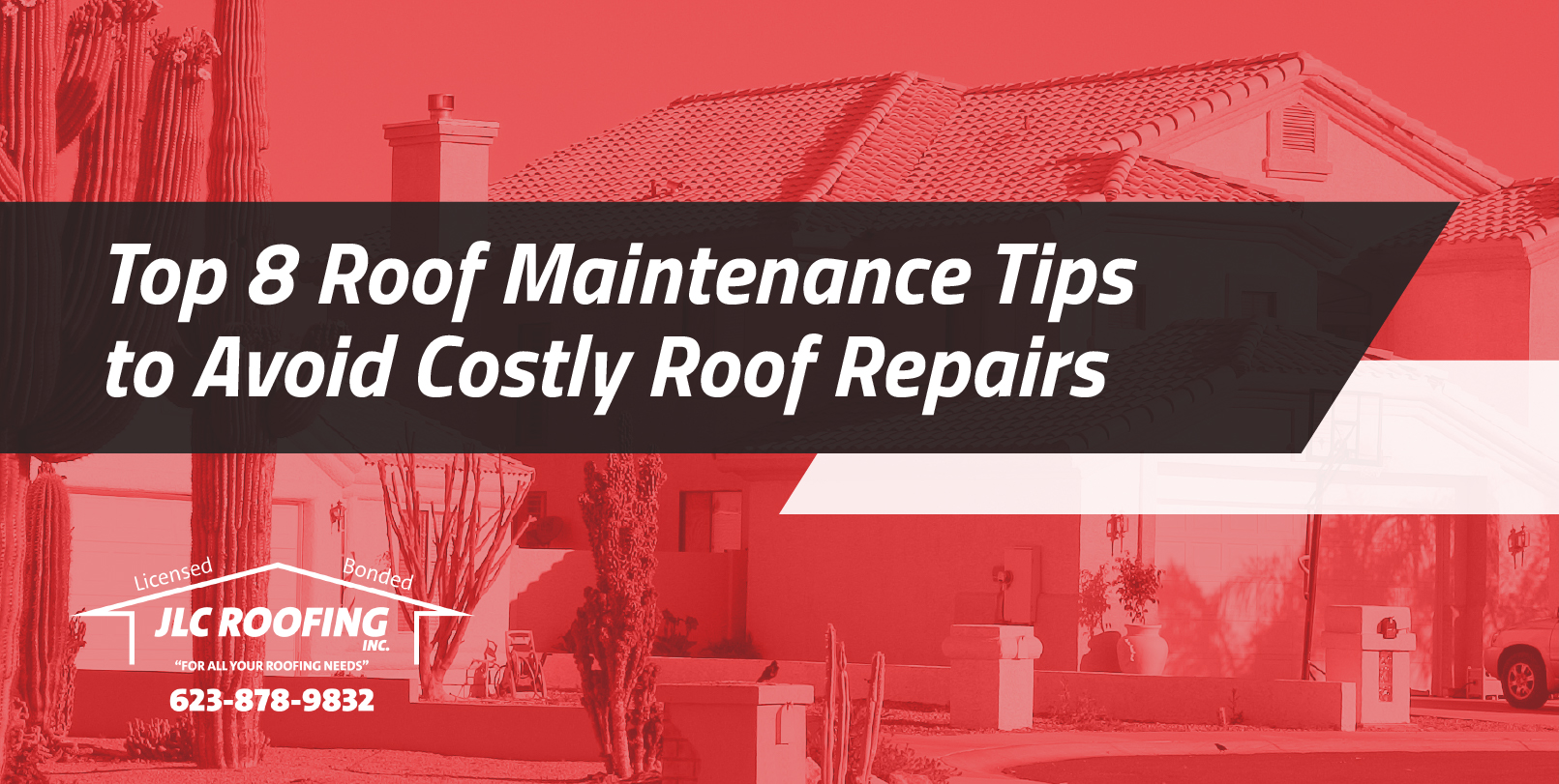 Top 8 Roof Maintenance Tips to Avoid Costly Roof Repairs